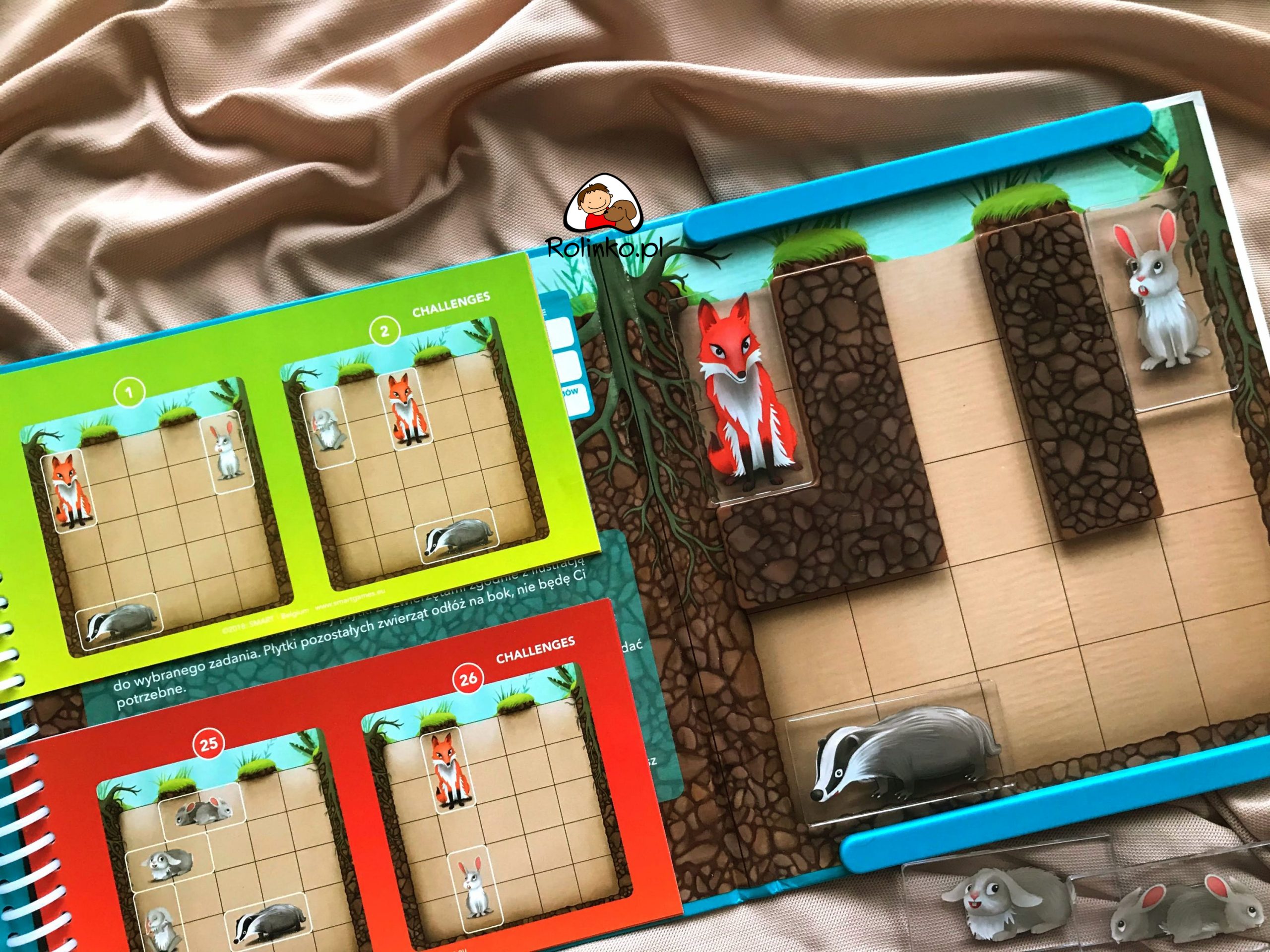 Gry logiczne dla 5-latków, które również Ty pokochasz – ROLINKO