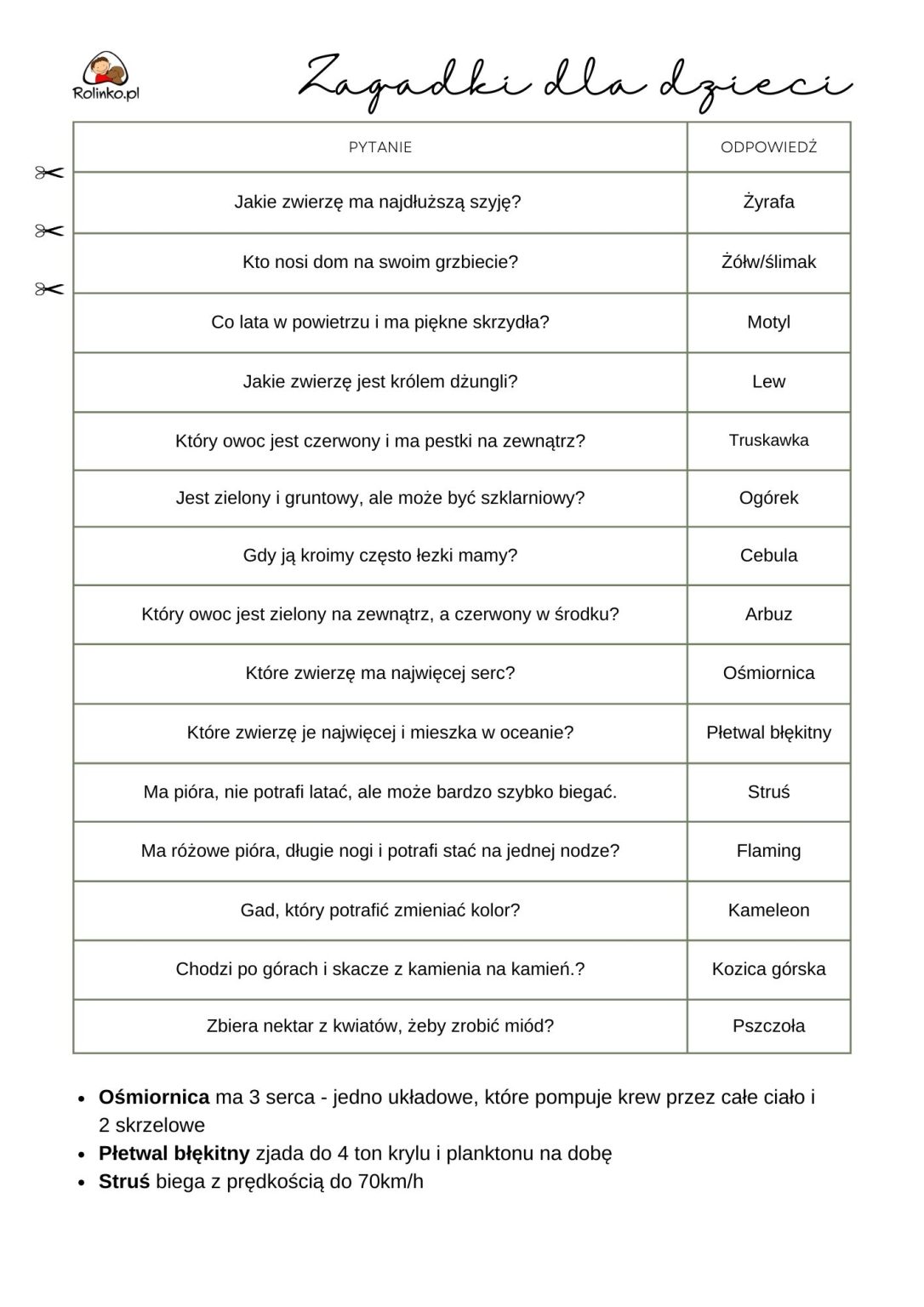 Zagadki dla dzieci w wieku przedszkolnym - ROLINKO