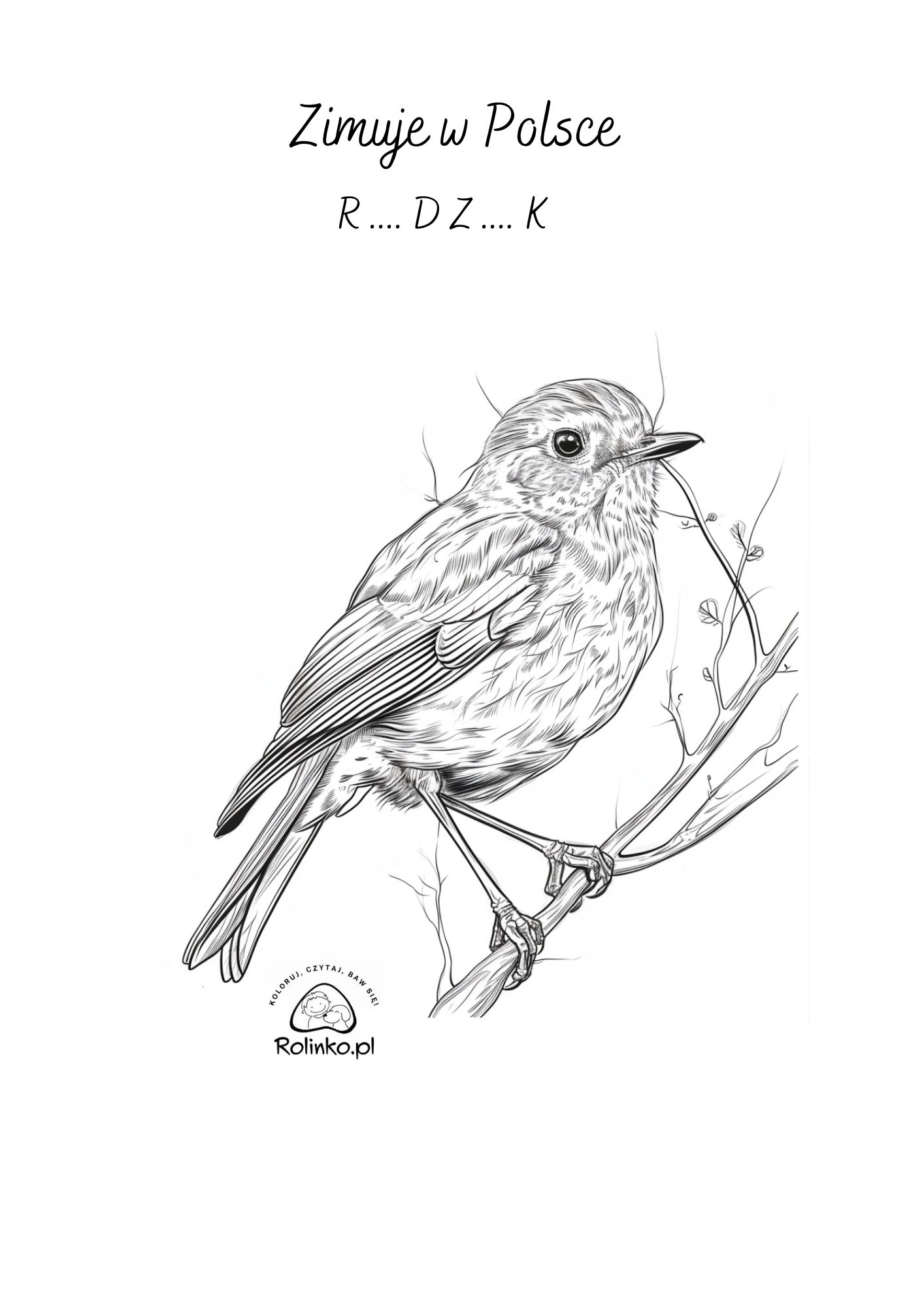 Czym i jak dokarmiać ptaki zimą? Kolorowanki i ilustracje do druku ...