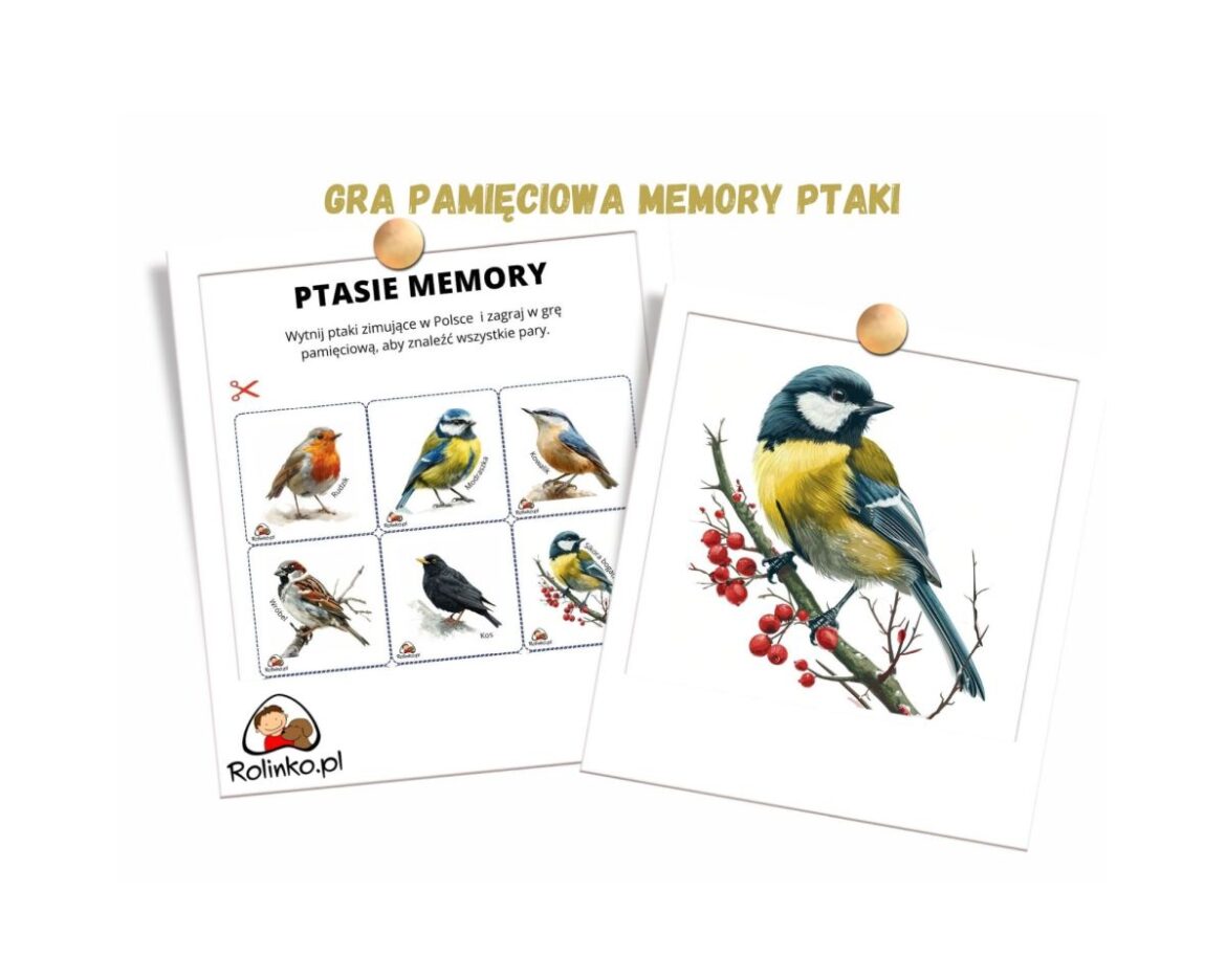 Gra memory ptaki zimujące w Polsce do druku - ROLINKO