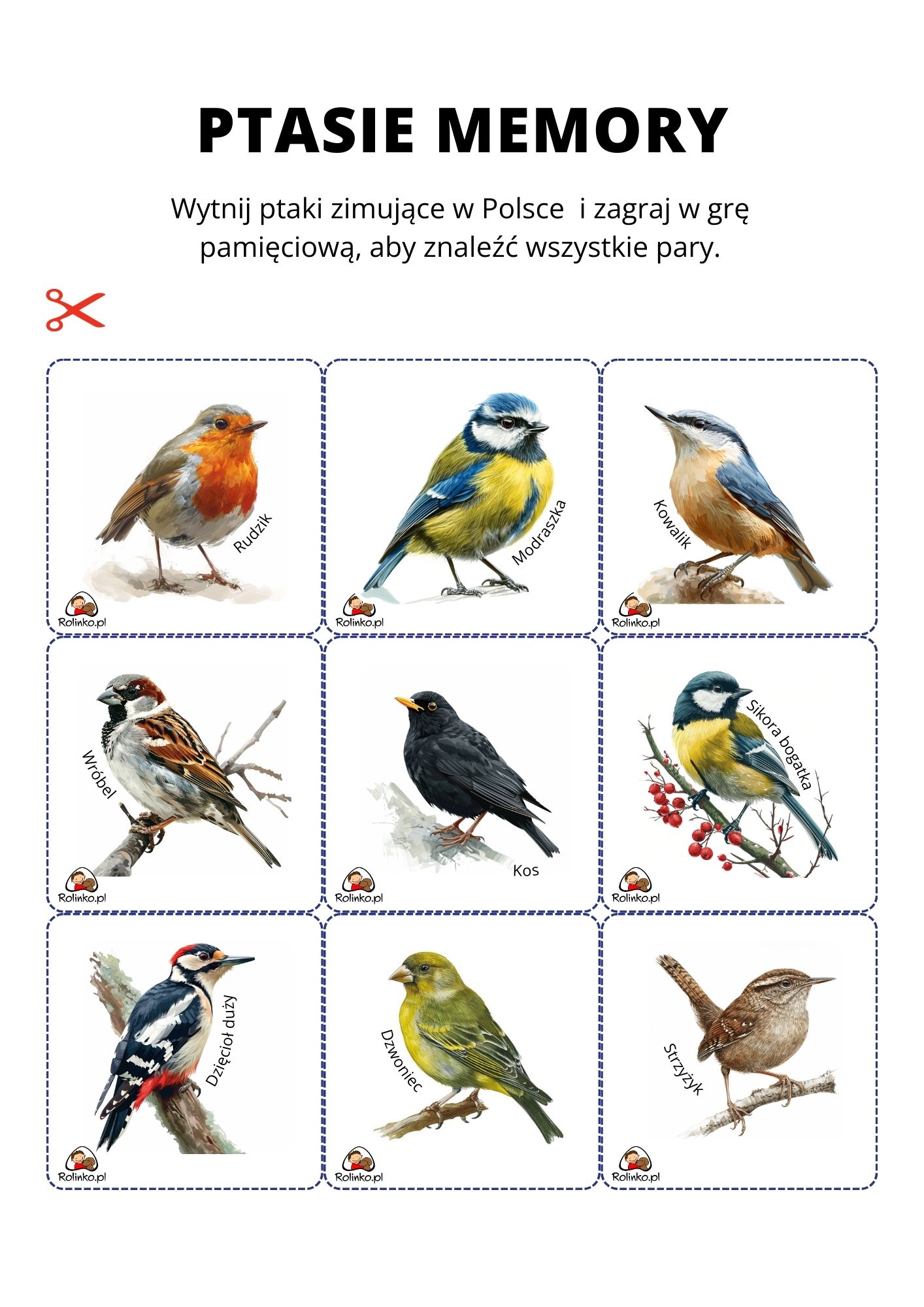 Gra memory ptaki zimujące w Polsce do druku - ROLINKO